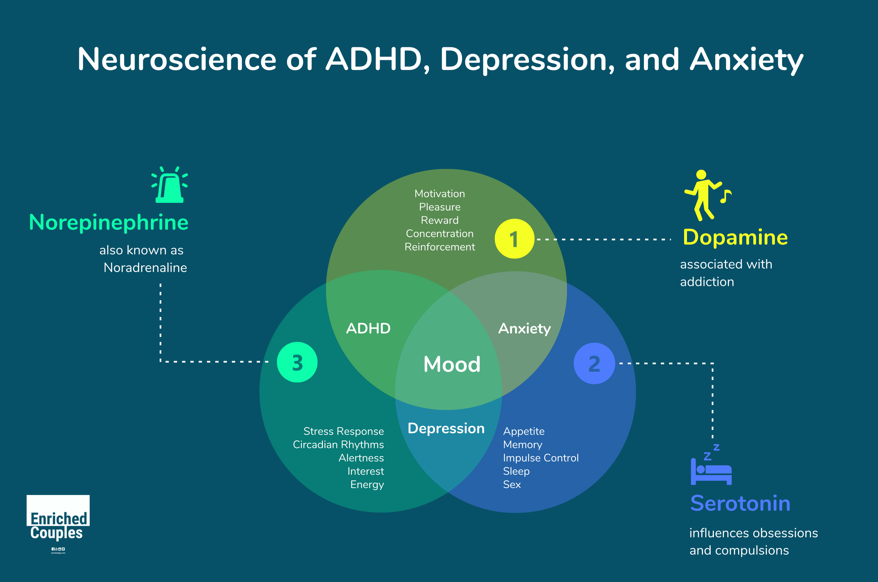 ADHD And Depression Signs Symptoms Causes Treatment 54 OFF