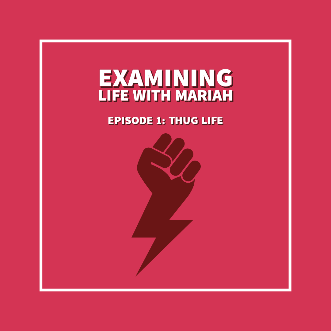 The Adventures of Willow Bee | Mariah | Substack