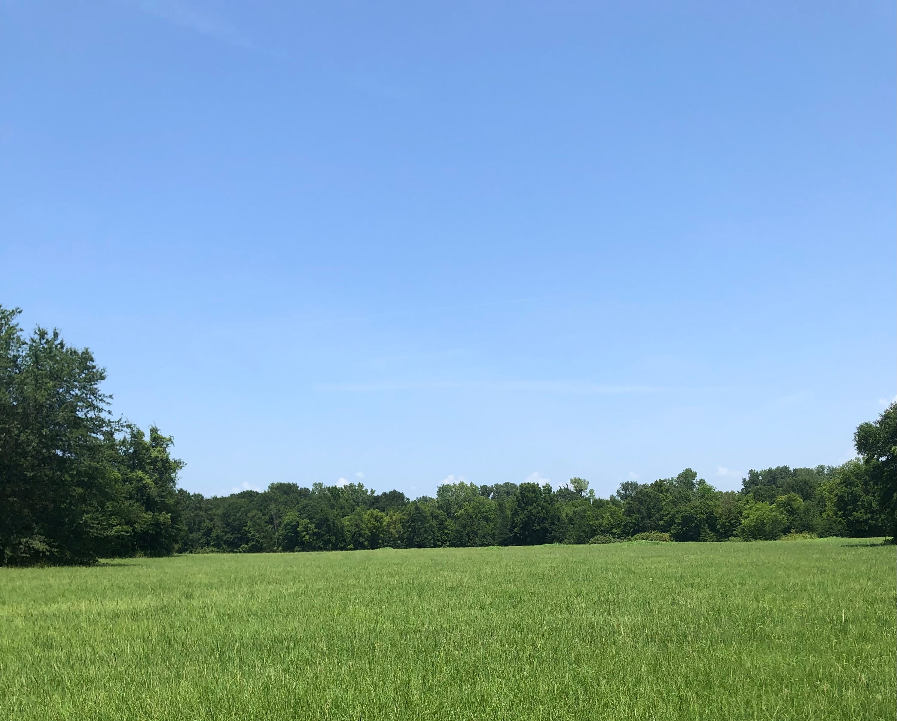 Ancient trade-routes - by June Covington