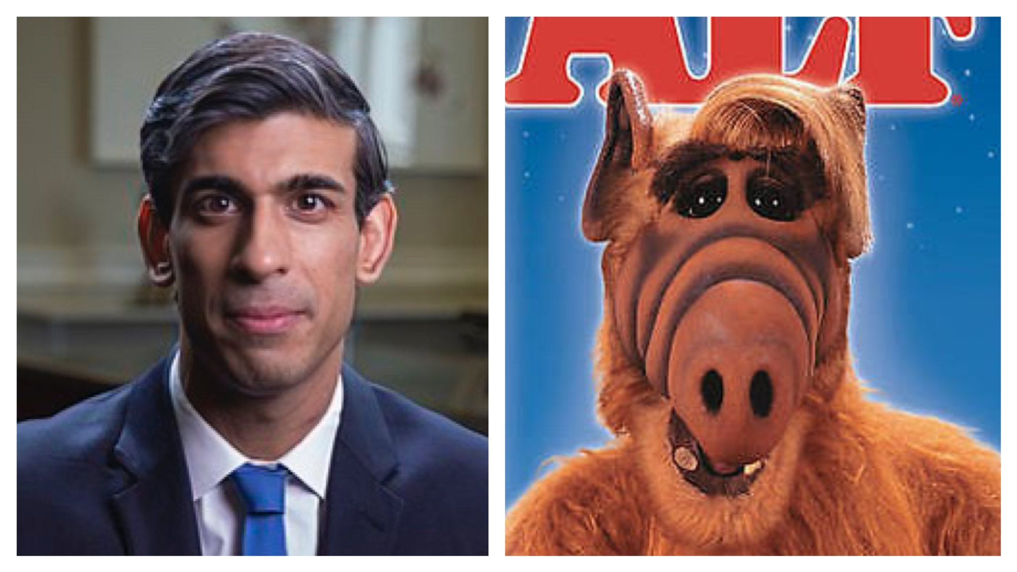 random meme rant - Rays the alarm