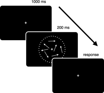 Speed versus Accuracy Tradeoff - by Joseph Truong