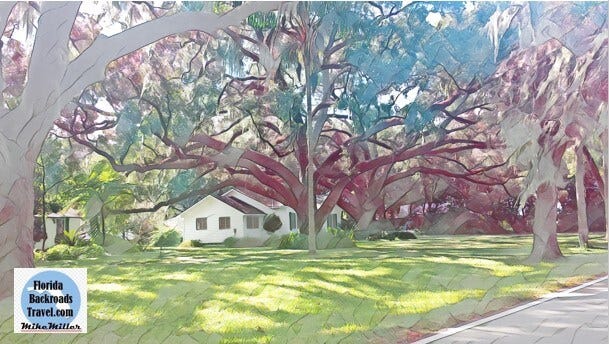 TANGERINE, FLORIDA - by Mike Miller