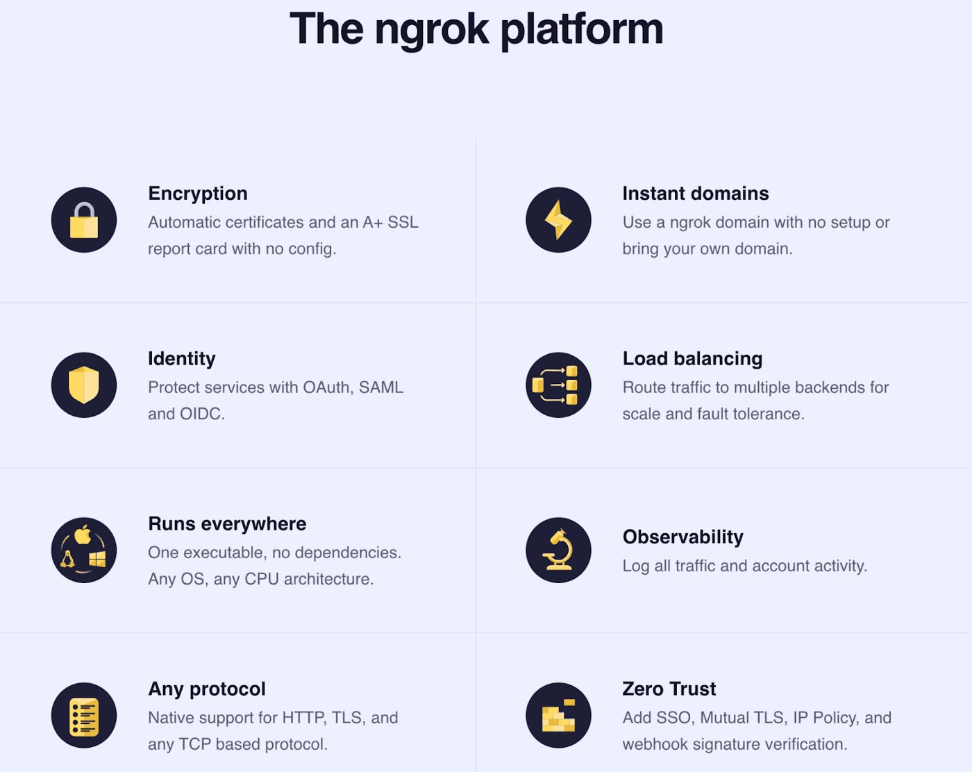 Secure, scalable, frictionless access to web apps — Why Lightspeed invested in ngrok