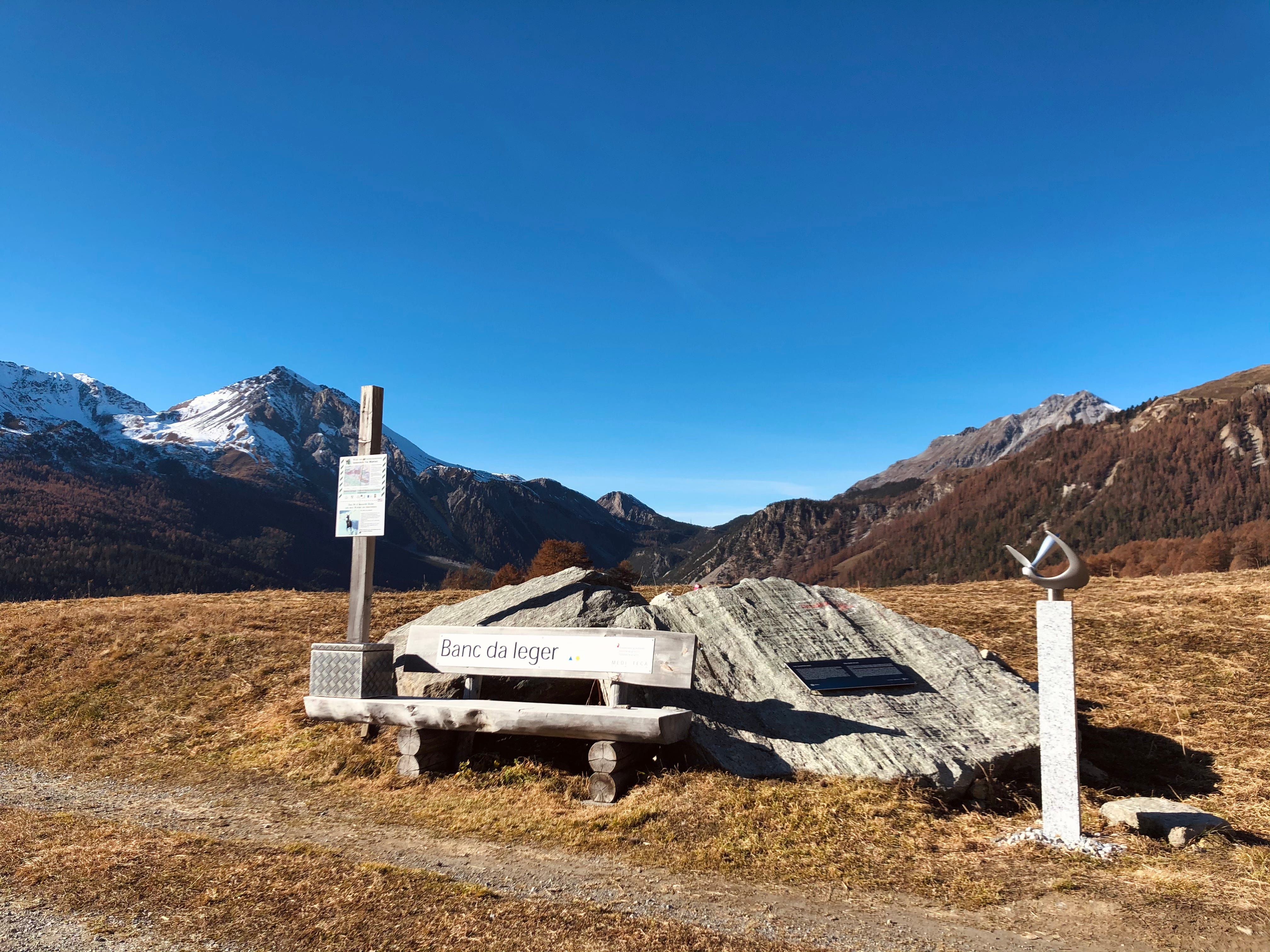 Ursina's Shelf - 2020 Review - Ursina's Shelf