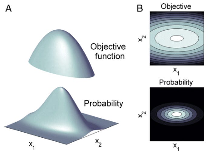 Non Optimality In C Elegans Connectome By Andy Mckenzie