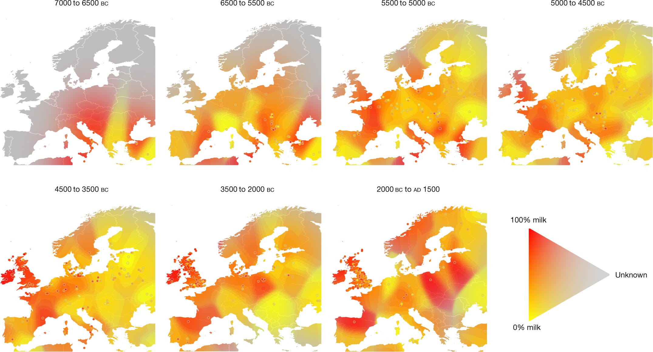 How we adapted to milk, and how we adapted it to us