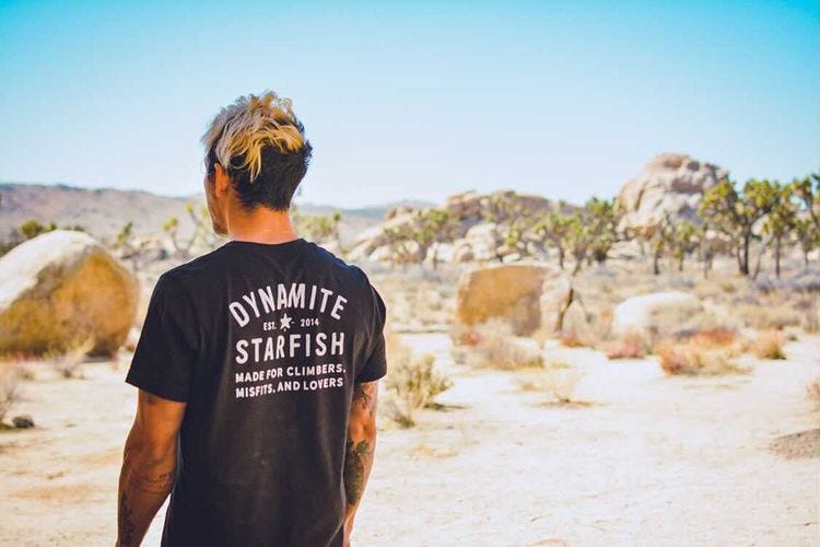 Glimmers of a radiant world: The building blocks of Dynamite Starfish