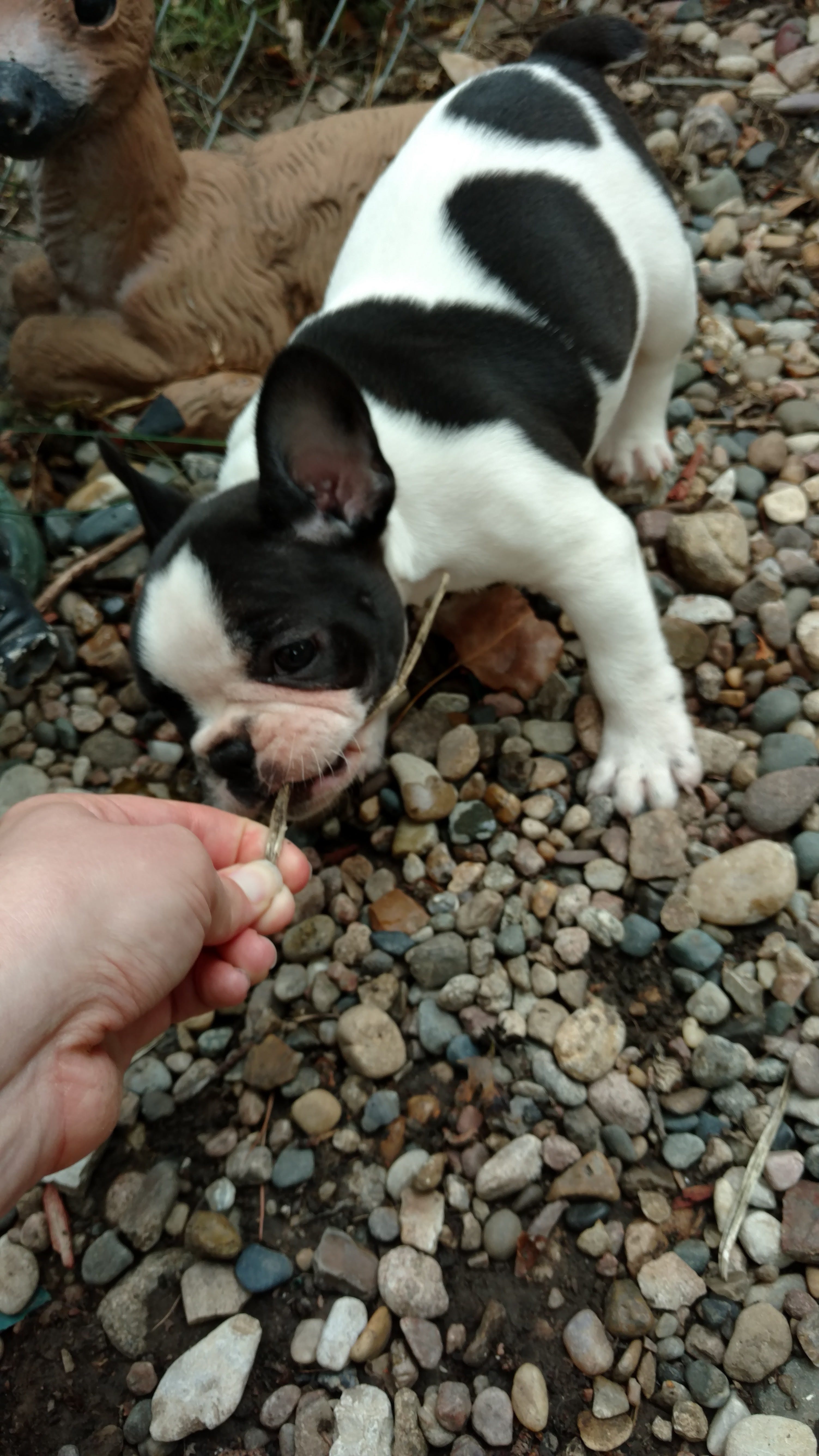 Nicole Knows | Nicole Cliffe | Substack