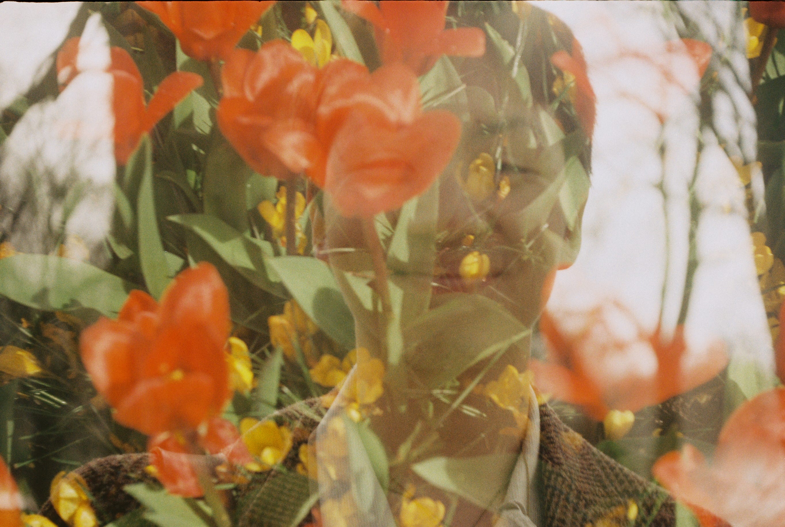 Joe Inoue | Substack