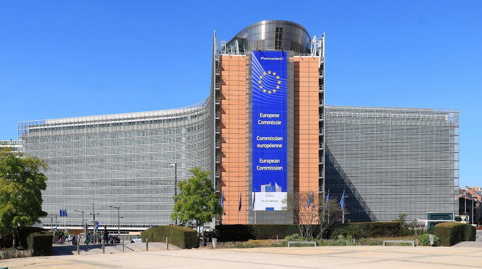 The Real Decision-Makers at the European Commission