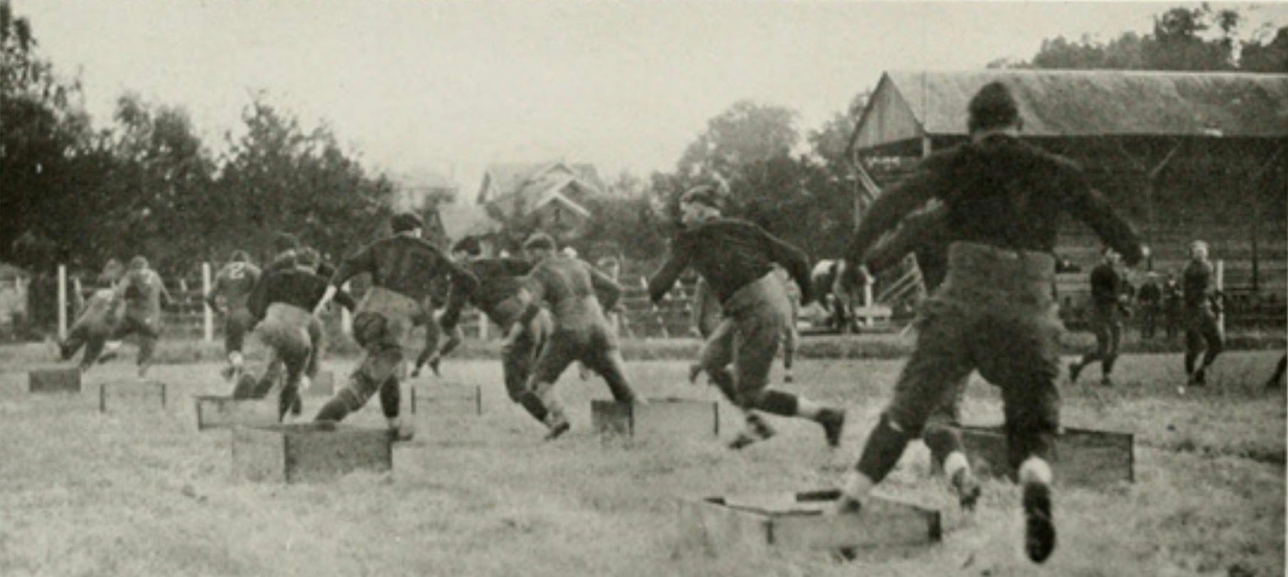 Today's Tidbit... Early Agility Drills Today's Tidbit... Early Agility Drills