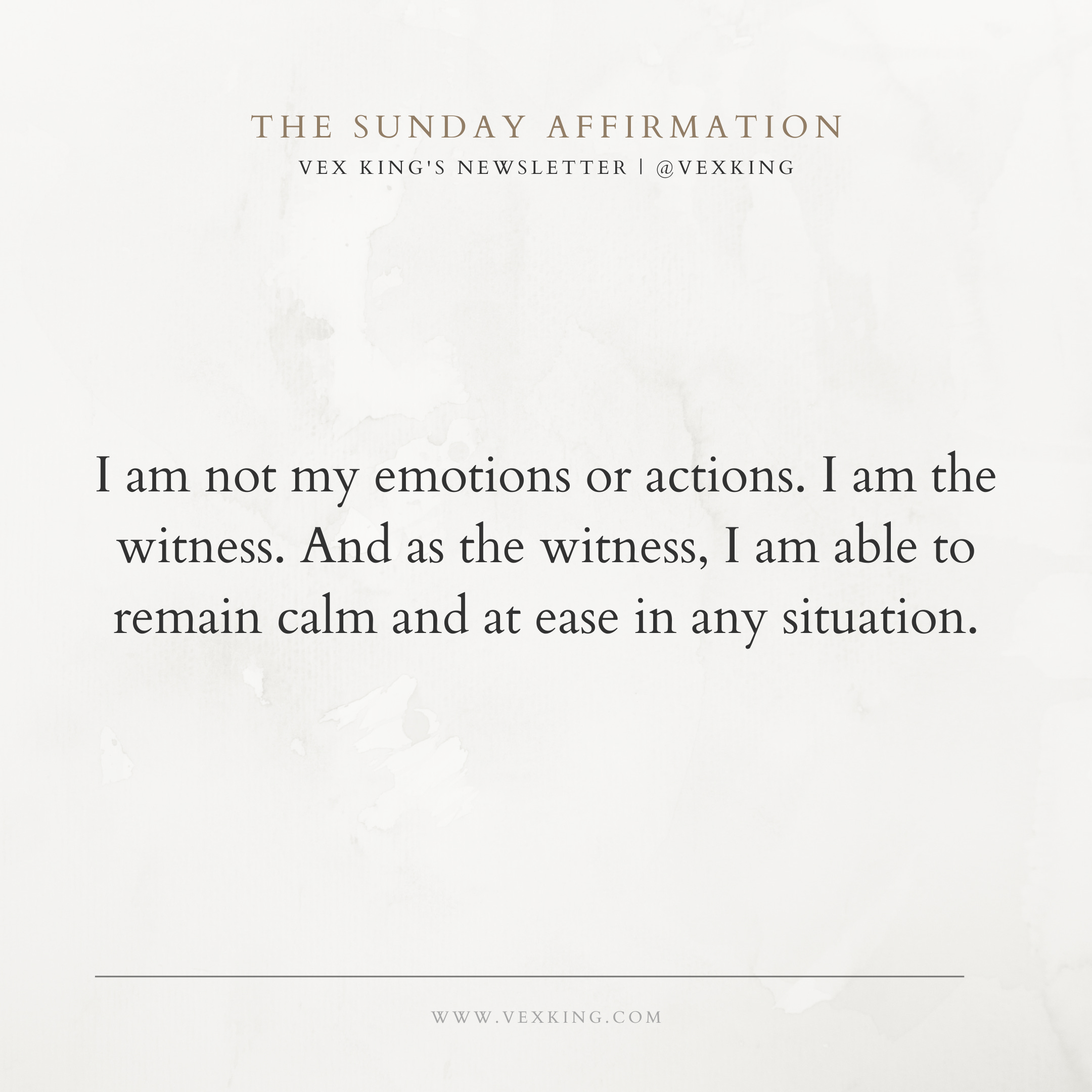 The Art Of Witnessing - by Vex King - Wisdom Waves