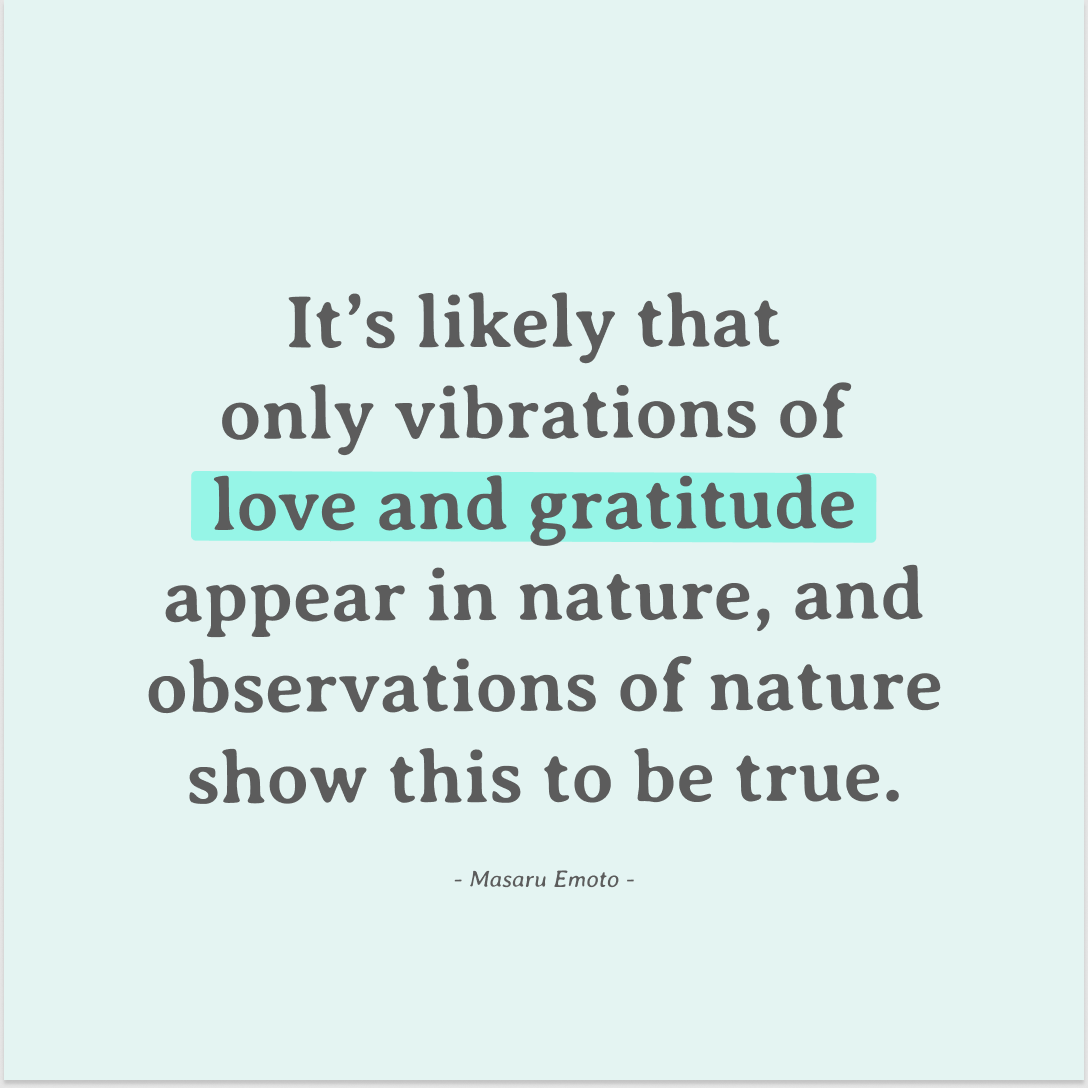 Masaru Emoto Quote Mindfulness Quote By Masaru Emoto Poster By