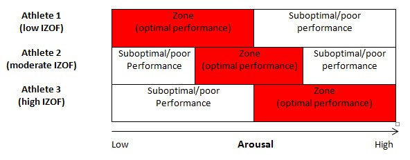 Individual Zones of Optimal Functioning