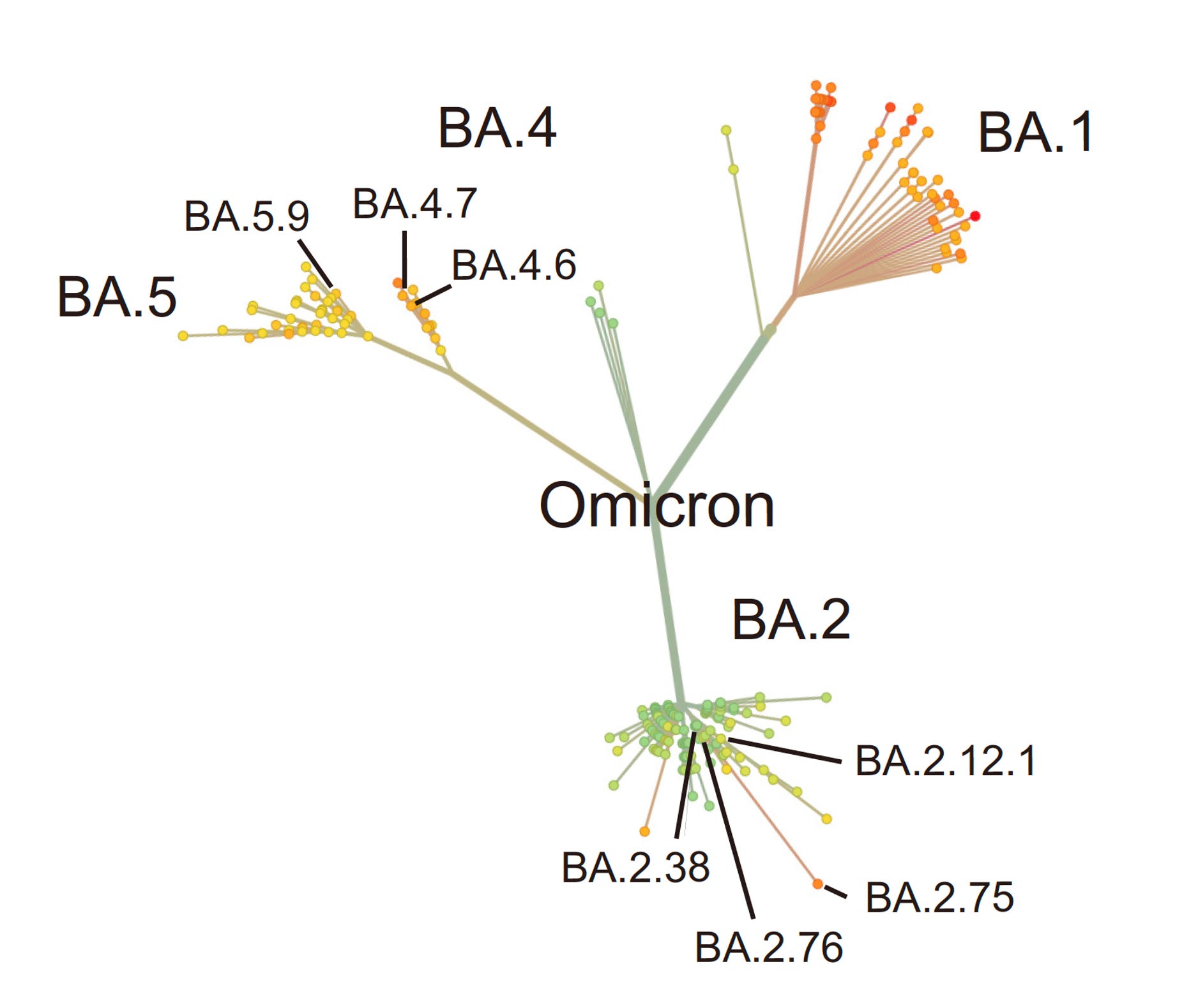 The imminent BA.5 vaccine booster - by Eric Topol