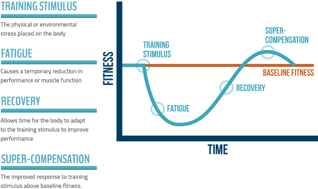 How does Muscle Growth Happen? - by BowTiedTitan