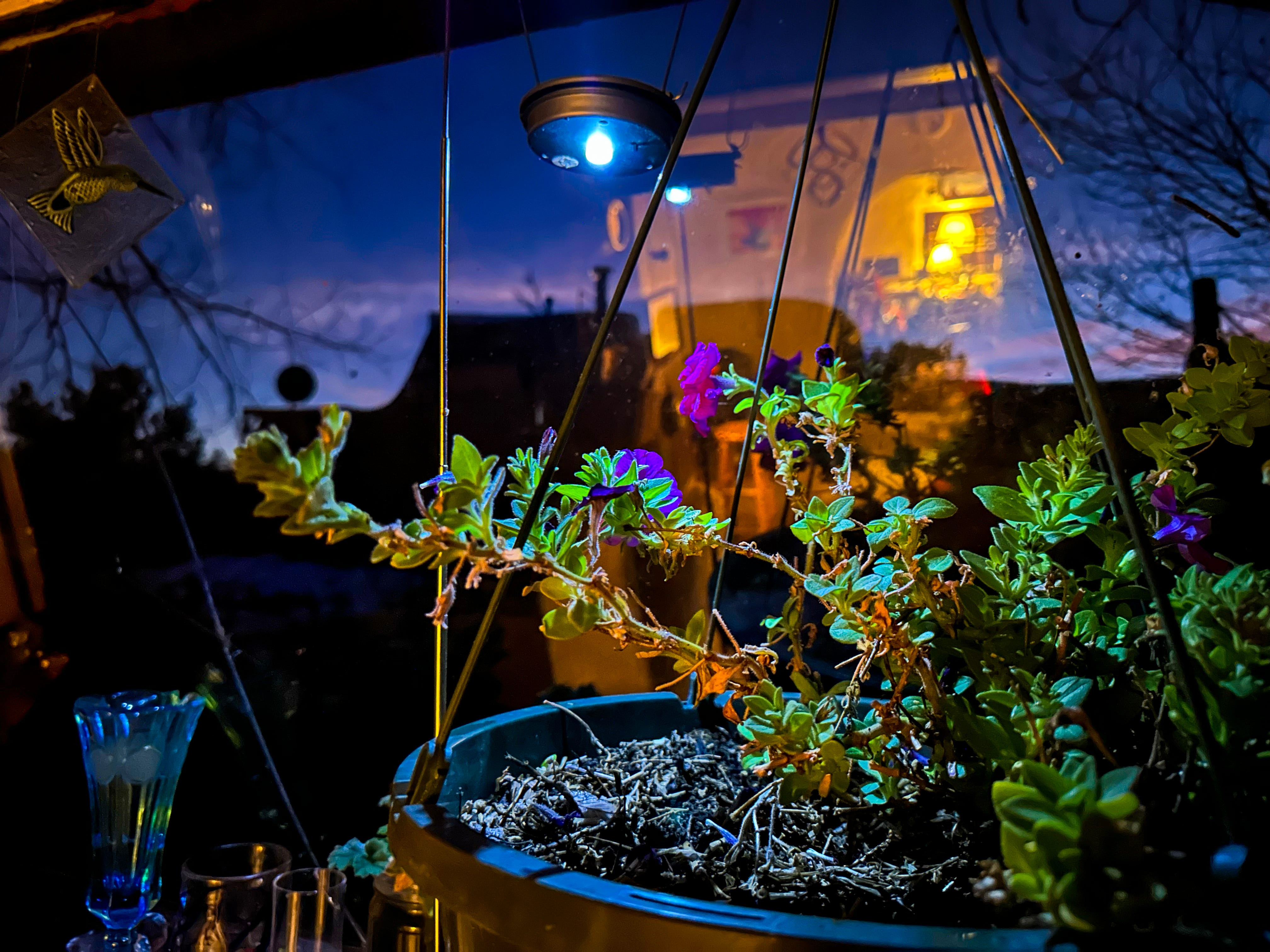 Primal Photographs & NFTs - by John Hamilton Farr