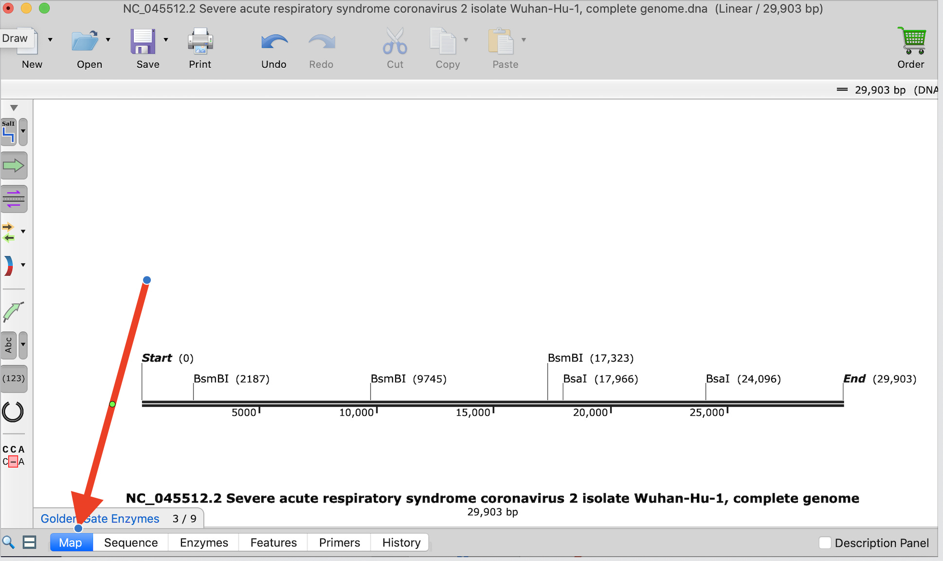 A deep dive on TypeIIs Restriction enzymes - by Anandamide