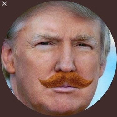 Donald J. Drumpf | Substack