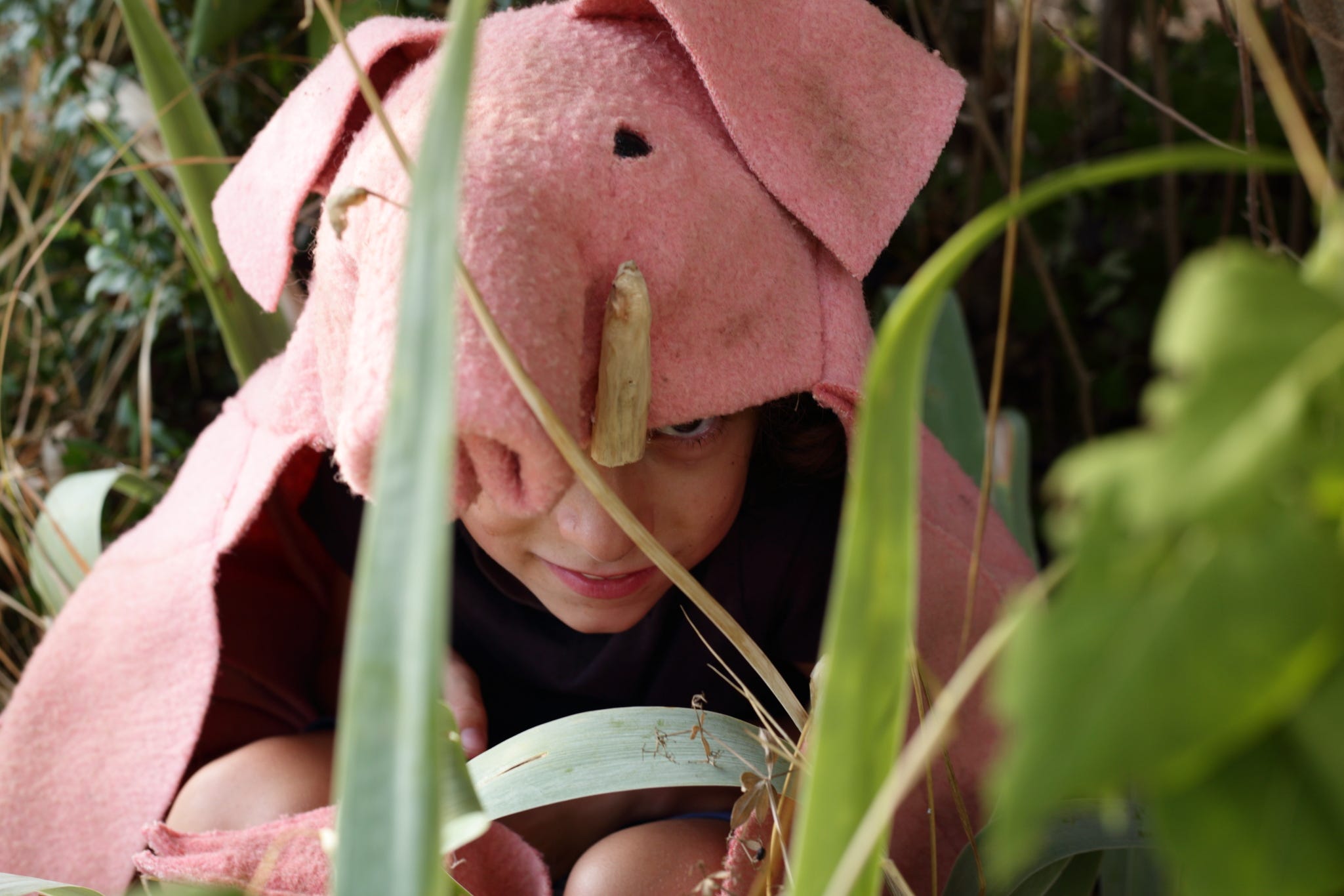 Sec – Alain Astruc