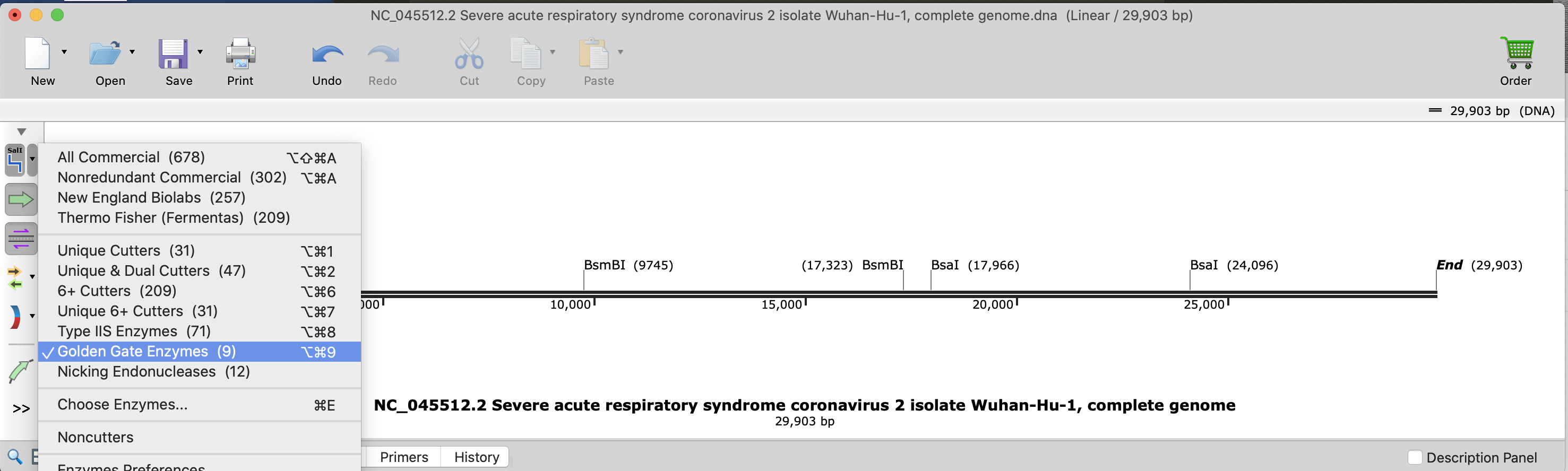 A deep dive on TypeIIs Restriction enzymes - by Anandamide