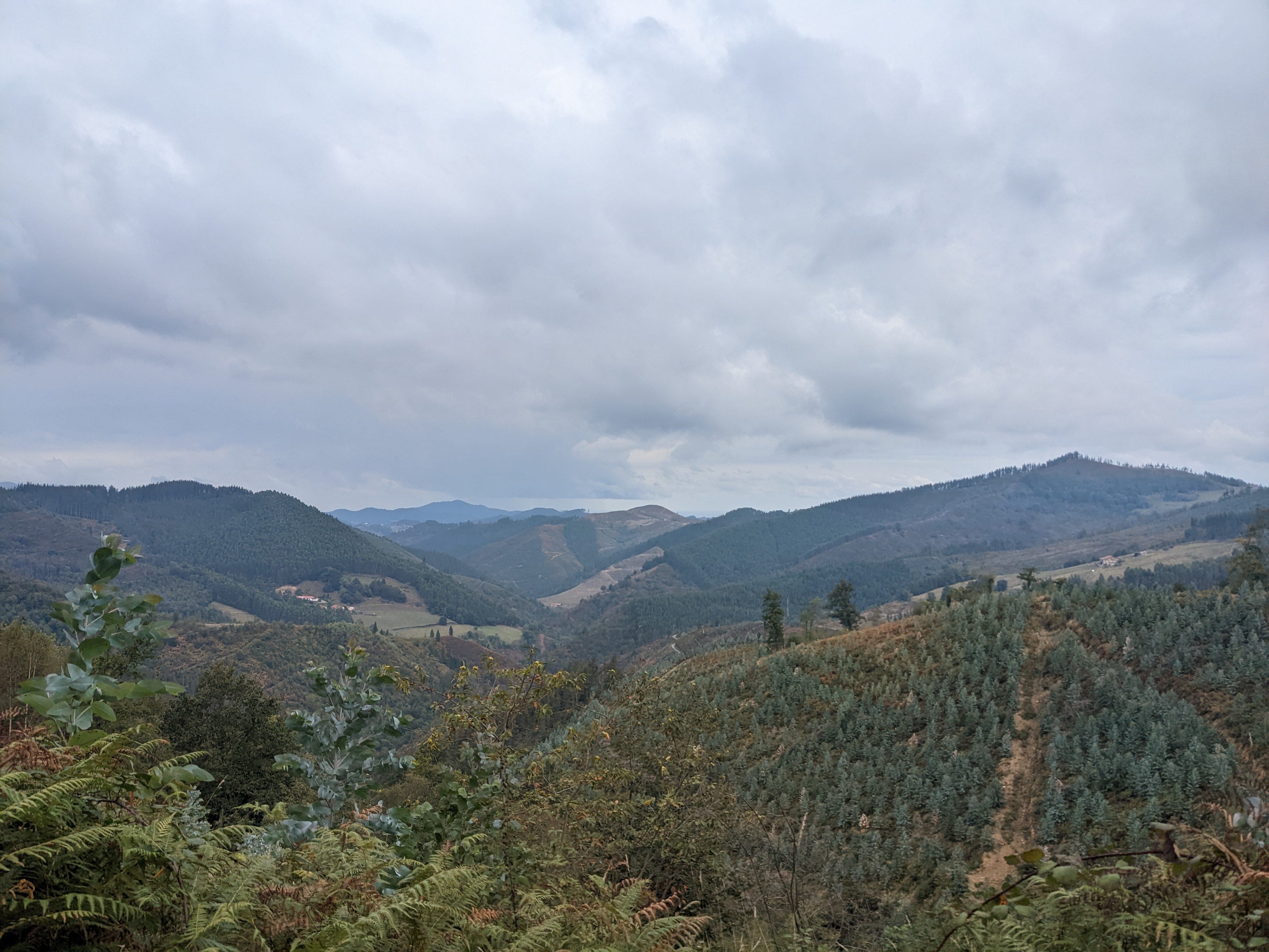 Walking and Talking - by Jim Stump - Stump Speeches