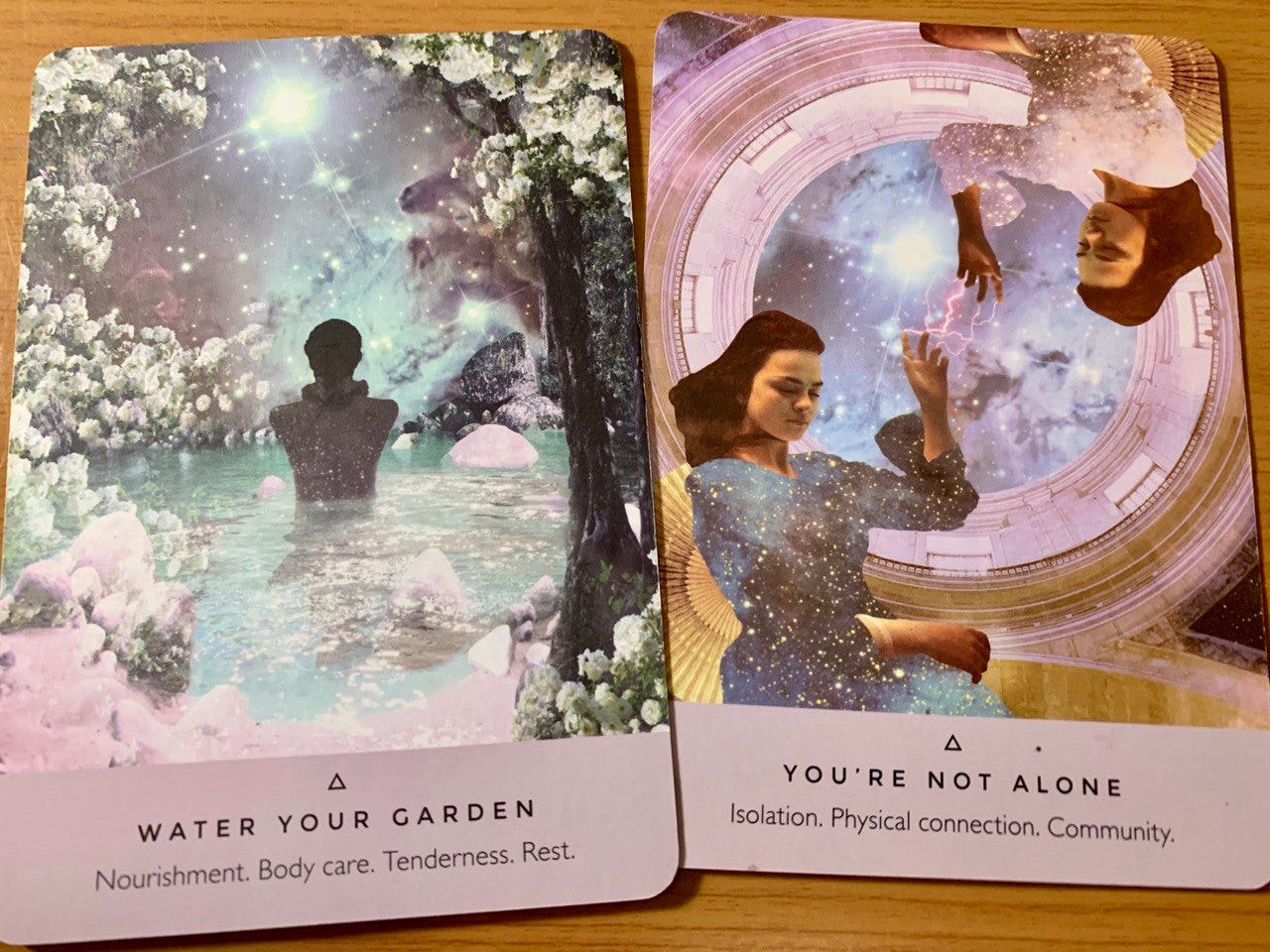 Survive and Rebuild - The Starfire Codes by Demi Pietchell