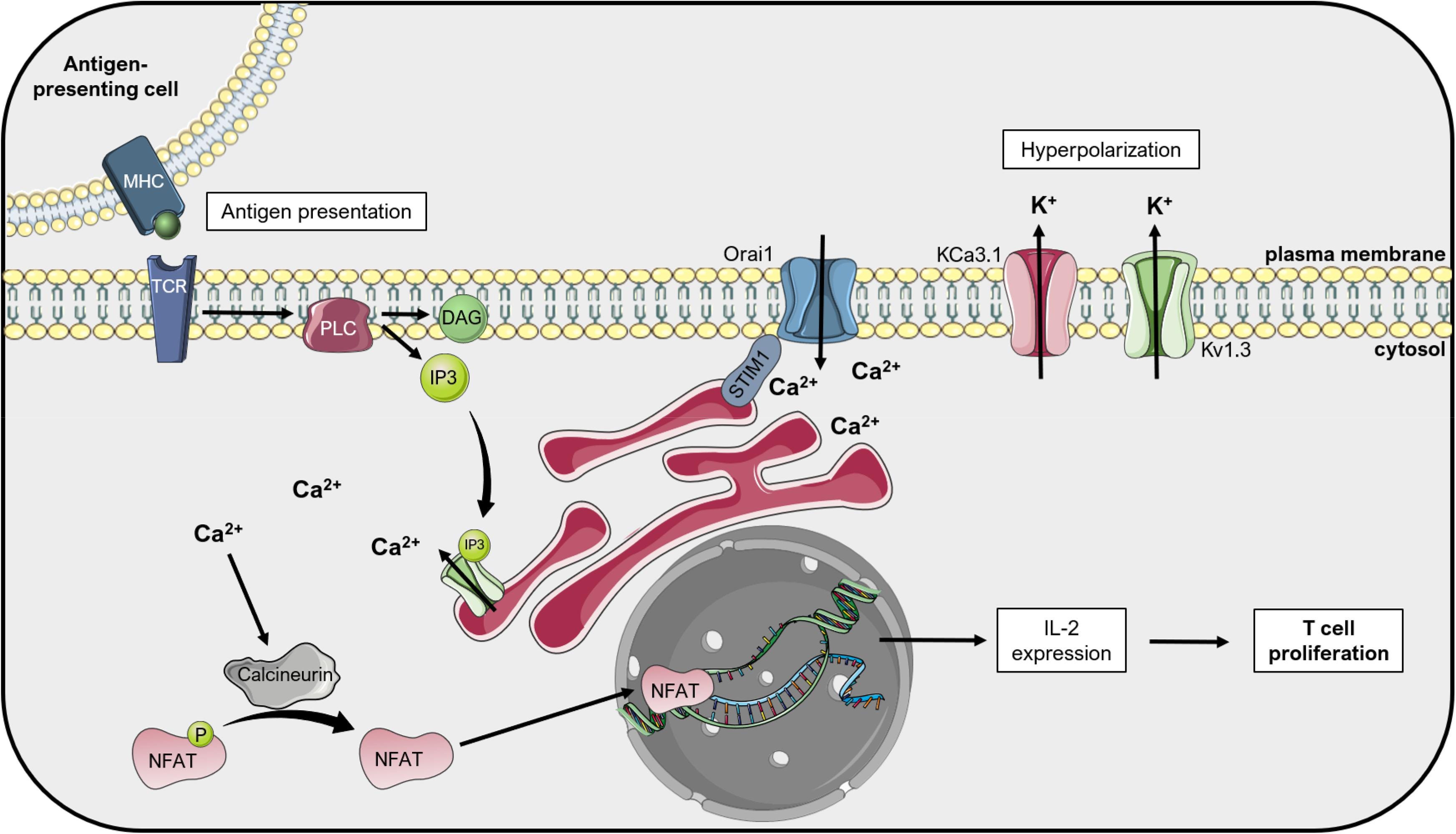 Moderna & SM-102: Fact checking the fact checkers