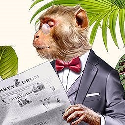 Ali Gündüz | Substack