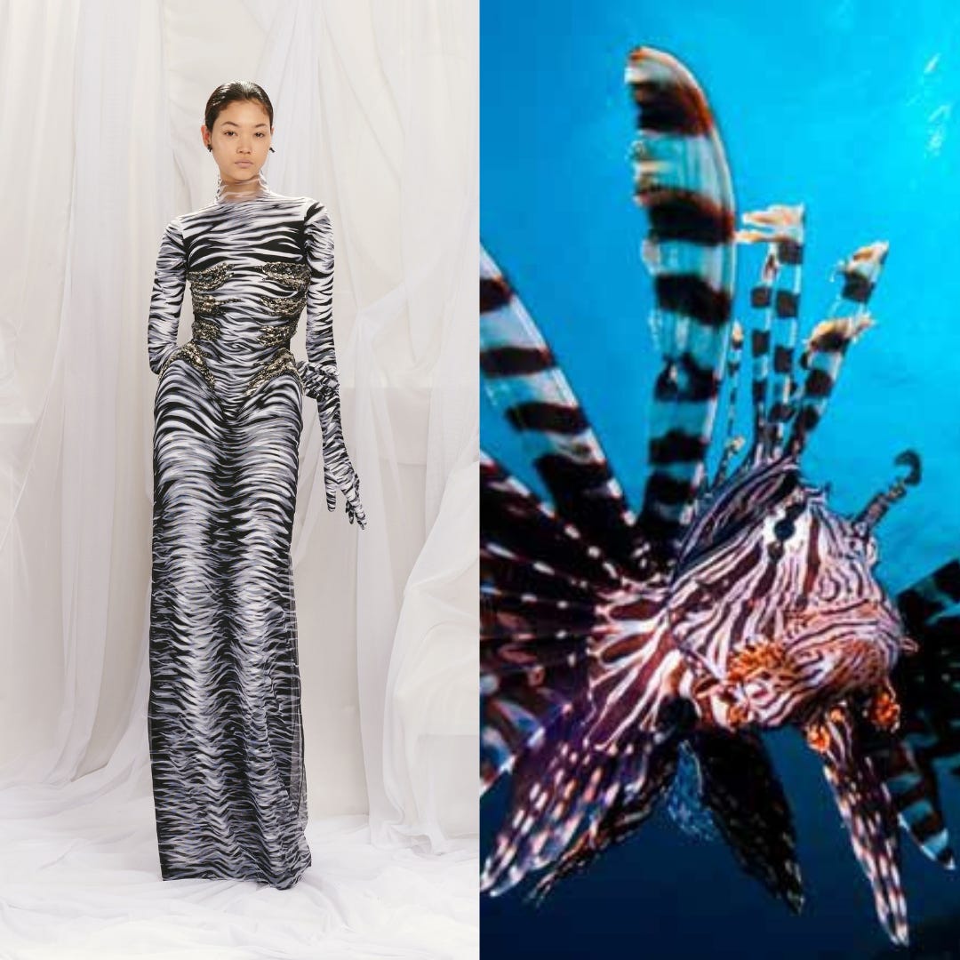 Jean Paul Gaultier Couture SS22 - mod3ls’s Newsletter