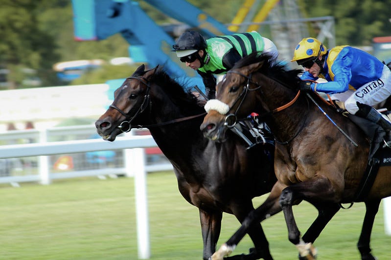 A day at the races: Predicting the USCCB elections