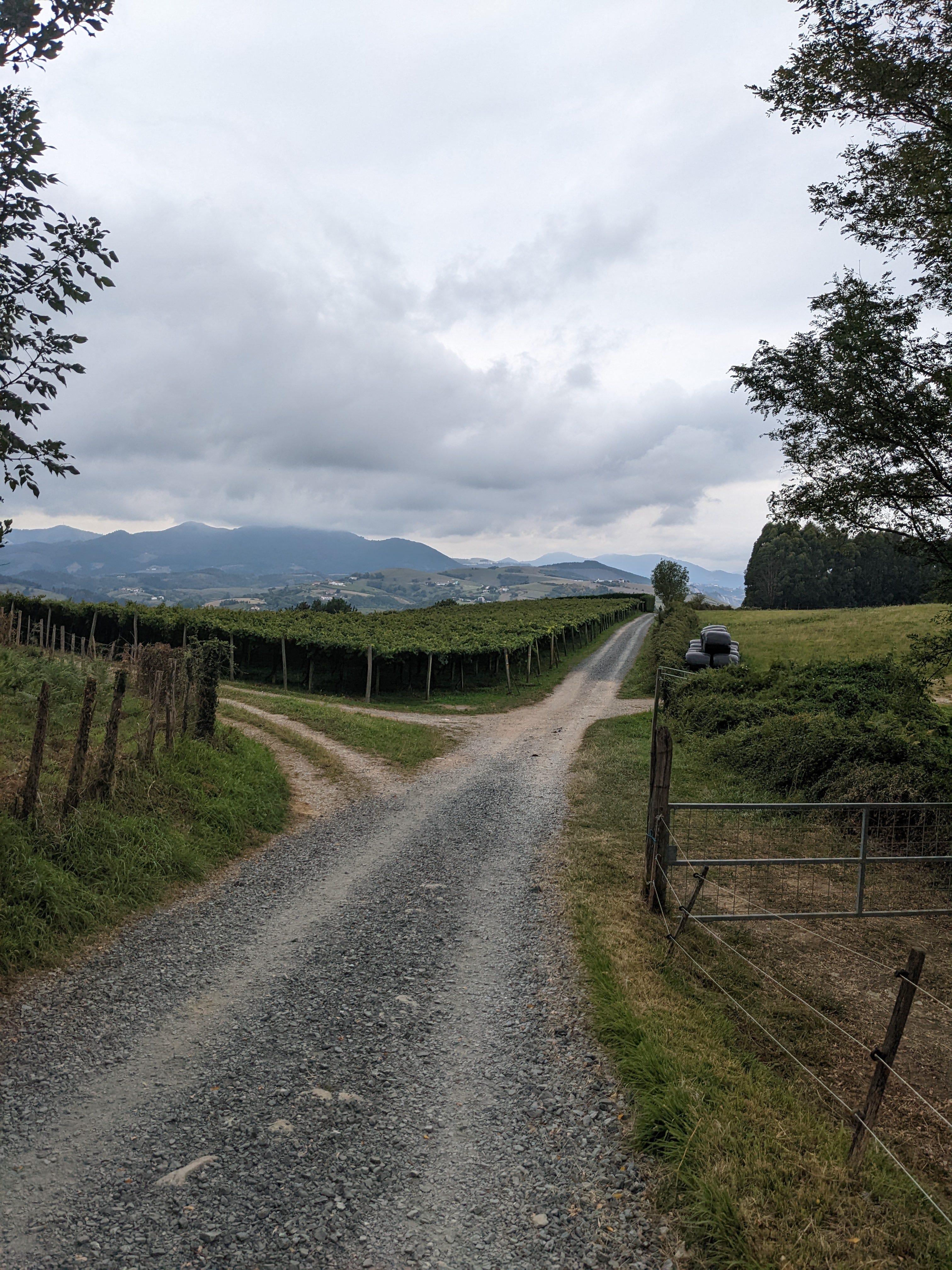 Green Moments - by Jim Stump - Stump Speeches