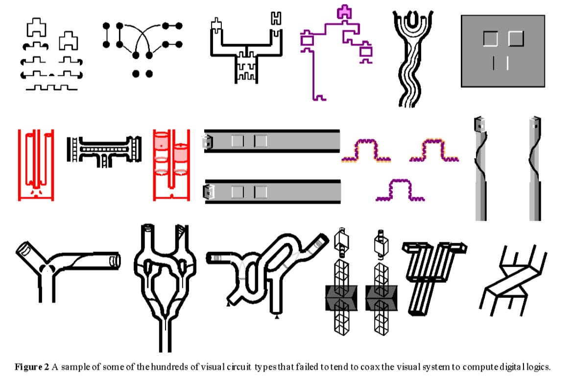 Eye Computer - \_ooFWIRED -- hosted by Mark Changizi