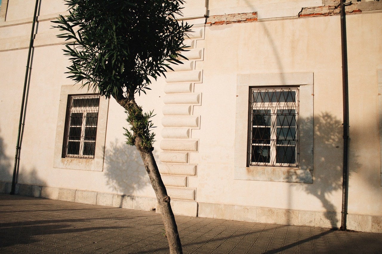 #38: In bici - by Stefania Culafic - Observations