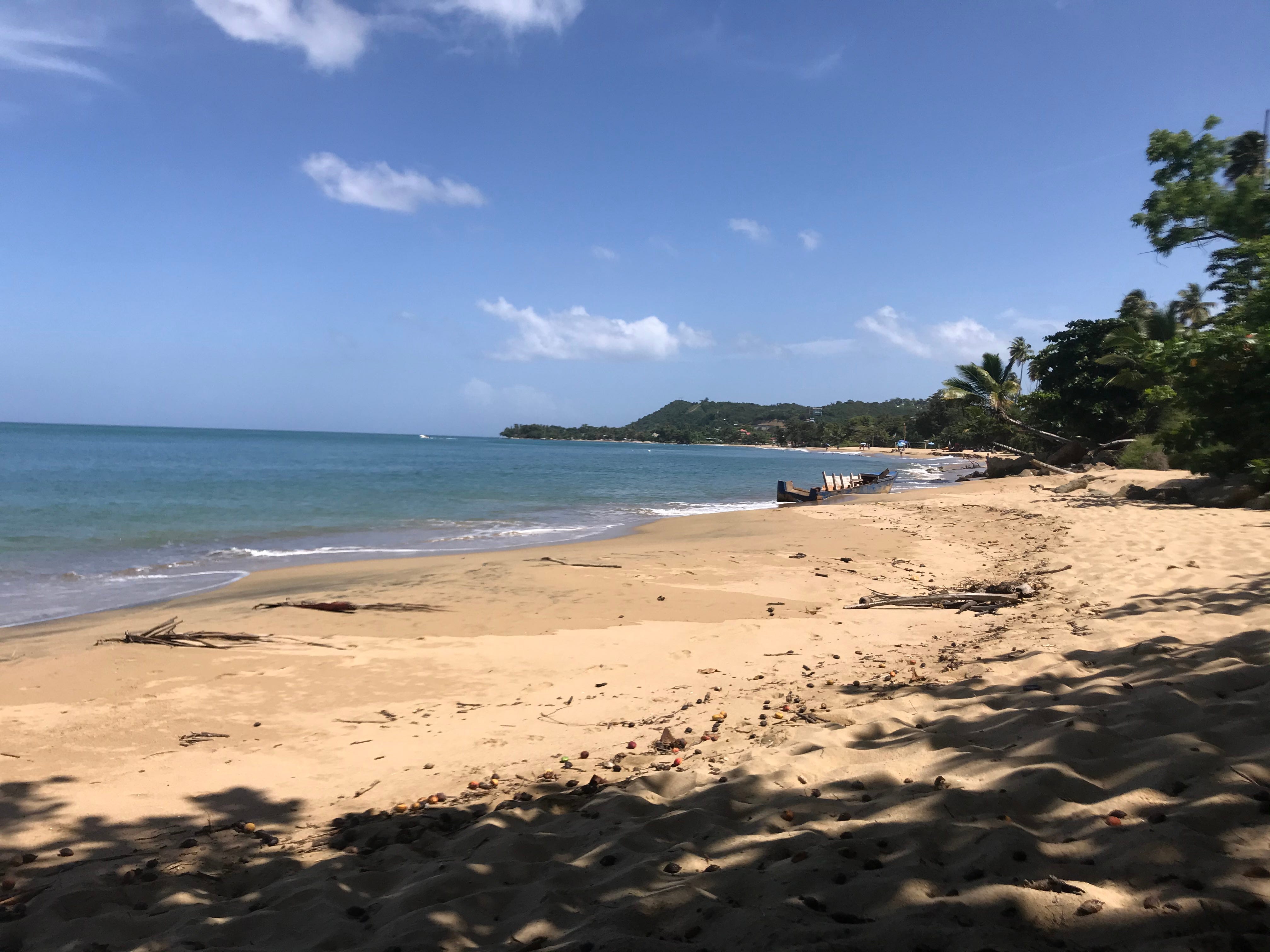 Beachman is at the beach! - Beachman’s Newsletter