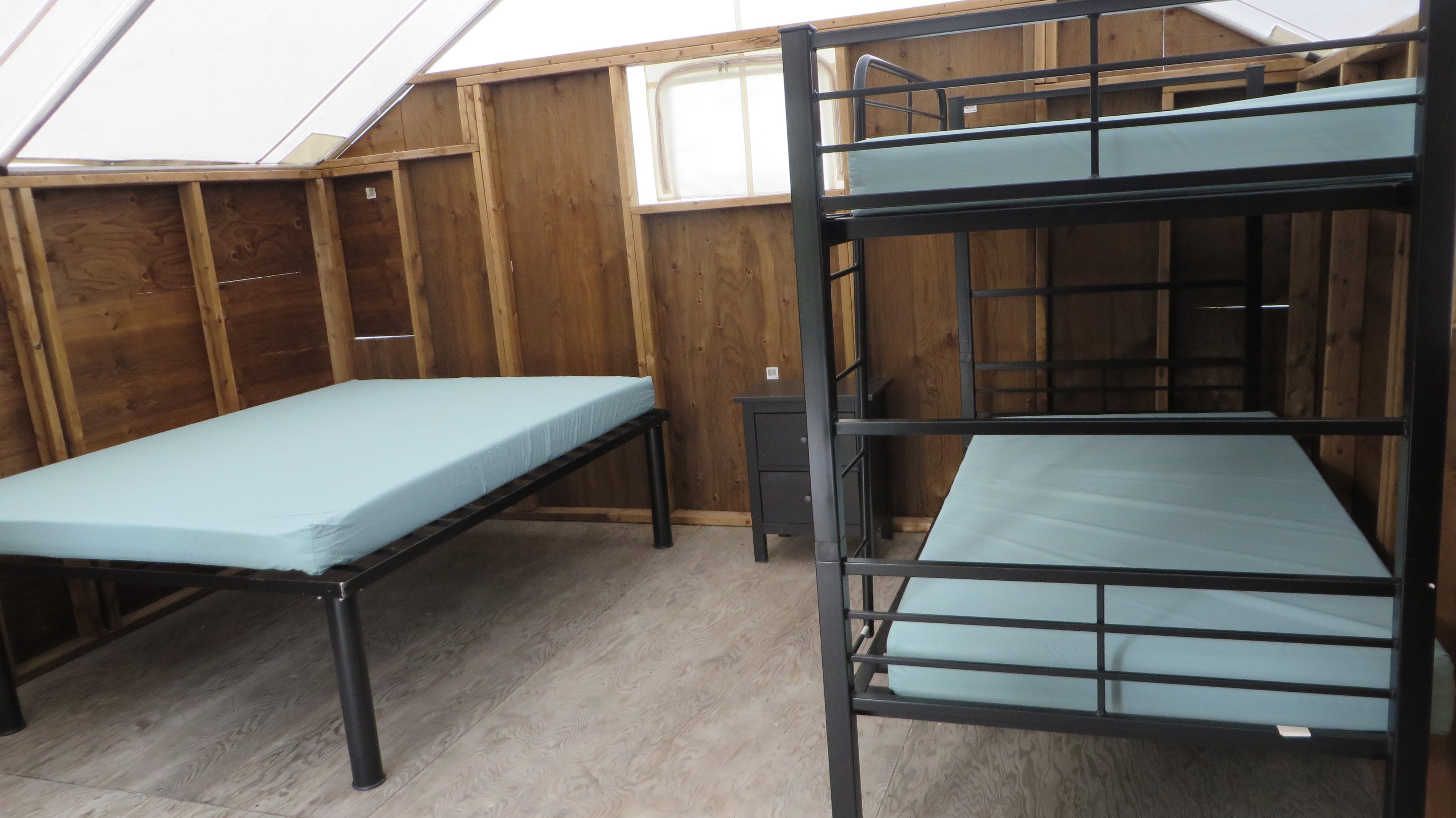 Métis Crossing: Where rare white bison roam