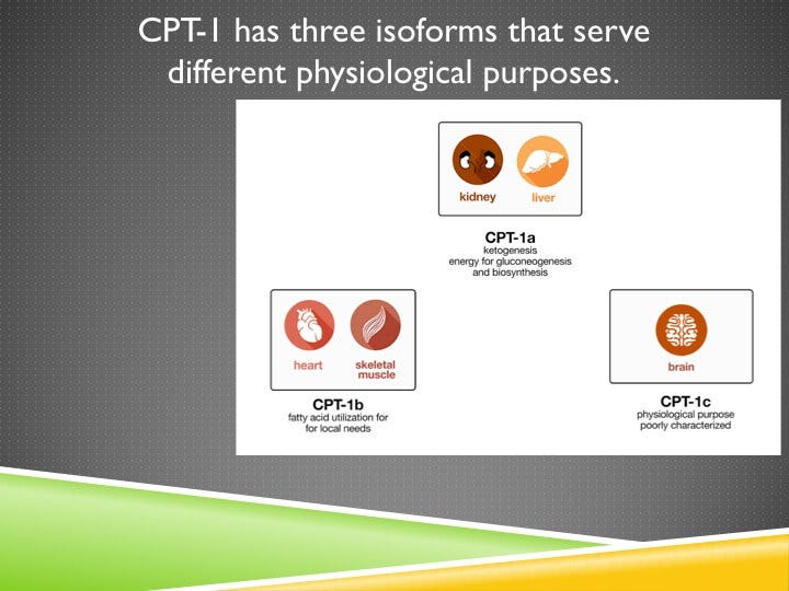 37. Inuit Genetics Show Us Why Evolution Does Not Want Us In Constant ...