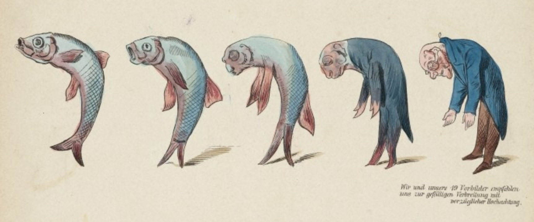 The curse of evolutionary theories in social science