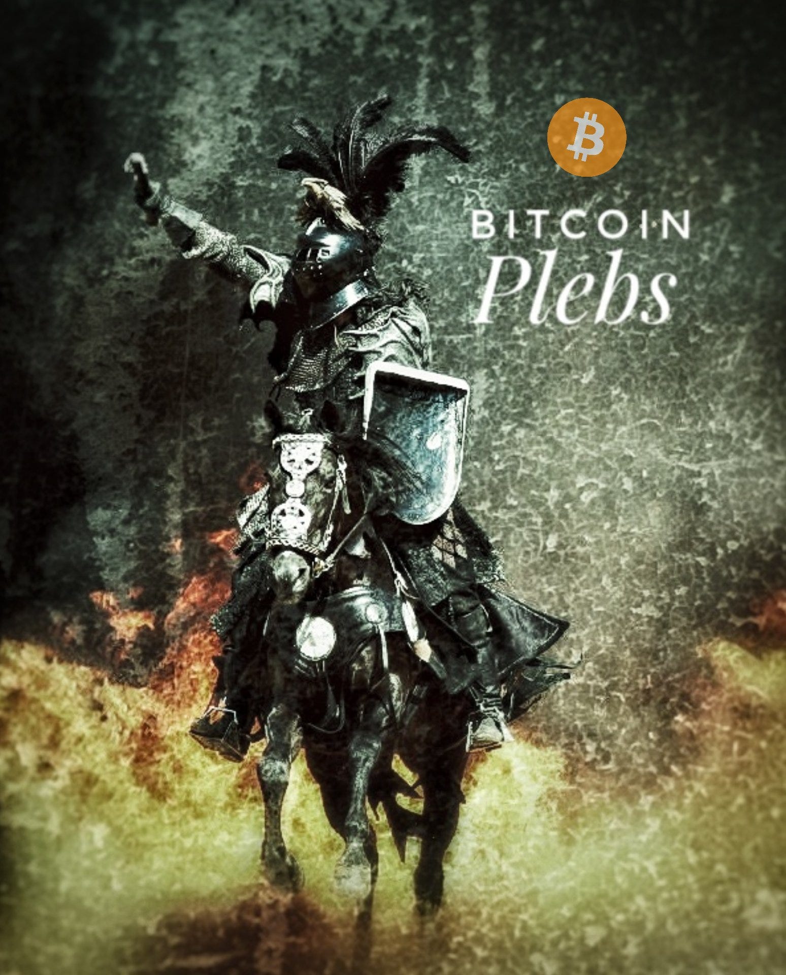 100+ Bitcoin Memes to help tell your story - by Craig ⚡ ⛏️