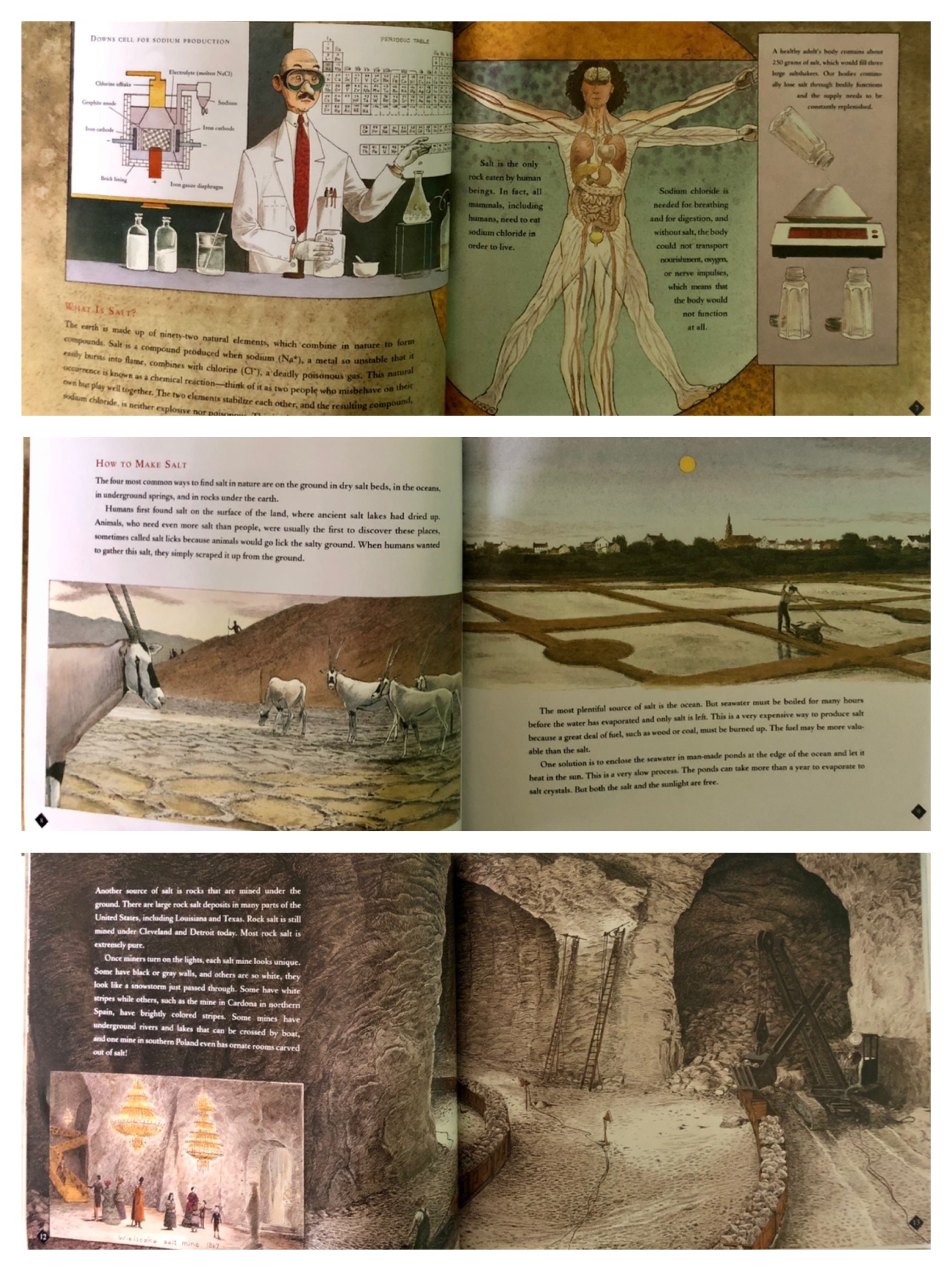 The Story of Salt - by Roopa Baliga - House Full of Books