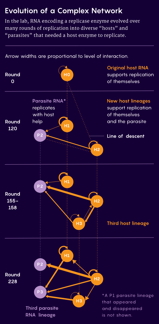 Replicating RNA Imitates Life - by Bharath Ramsundar