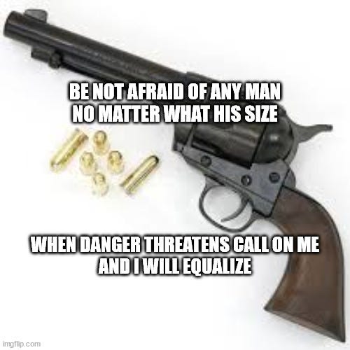 Disarmed Citizens, Epidemic Of Mall Robberies: Any Relation?