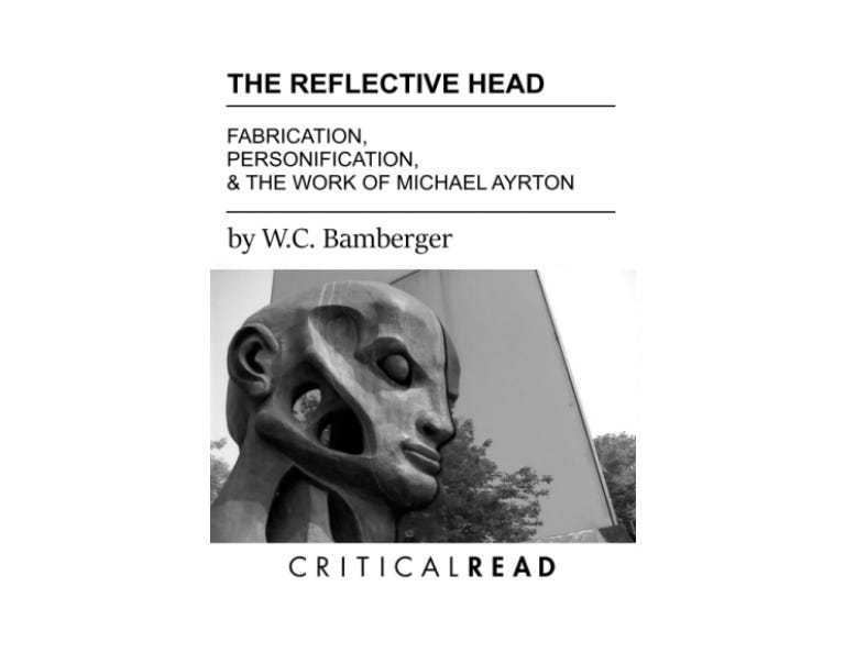 The Reflective Head - Raft Magazine