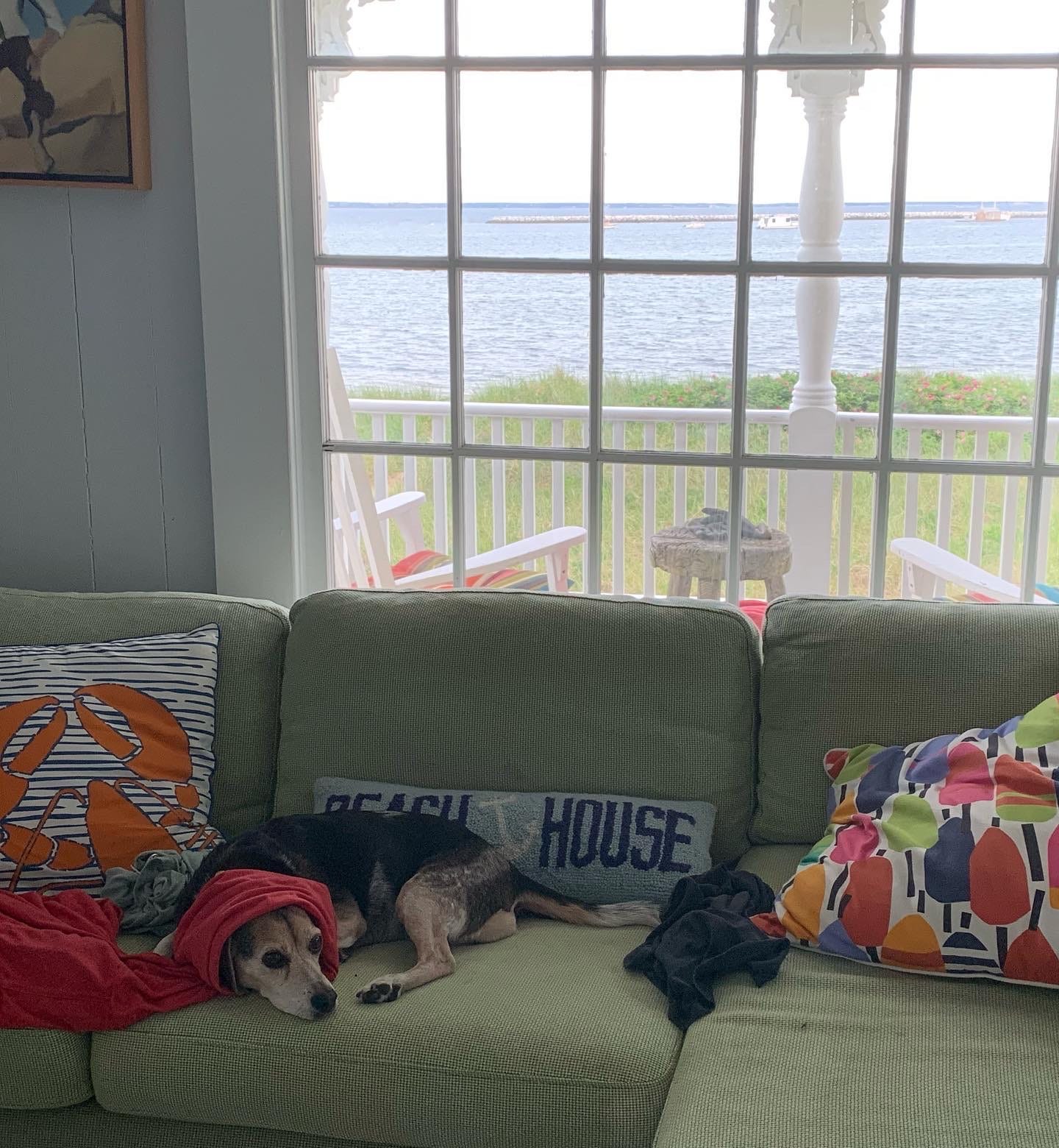 VFYW: Winning Your Virginity - by Chris Bodenner