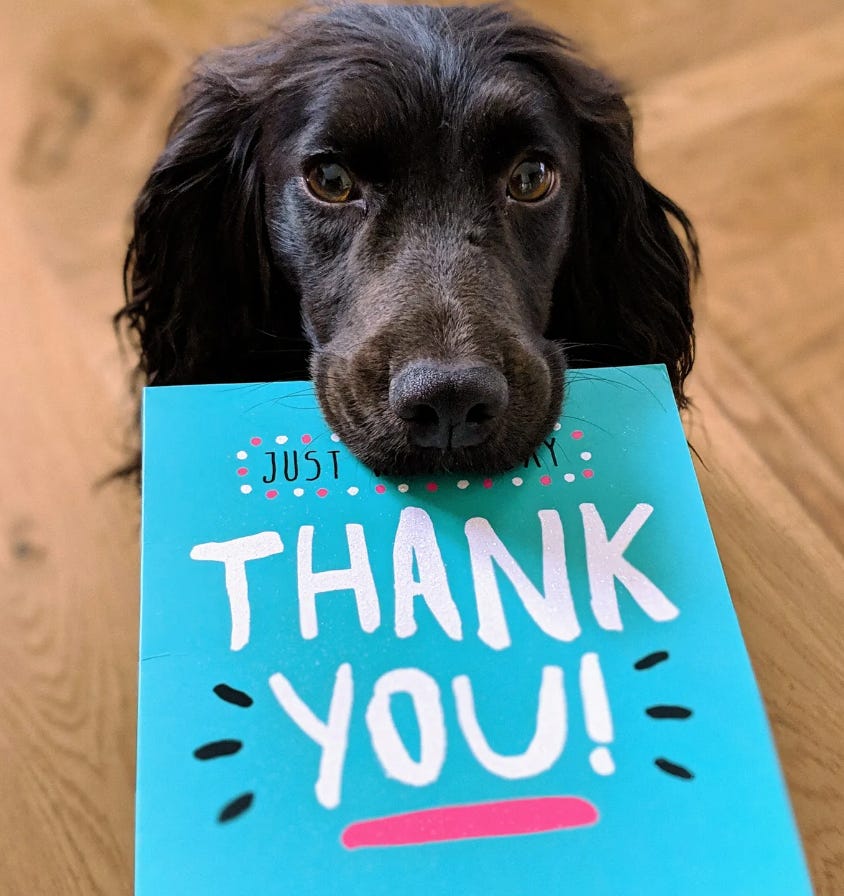 🙏🏽 Why We Should Say Thank You All Year Long