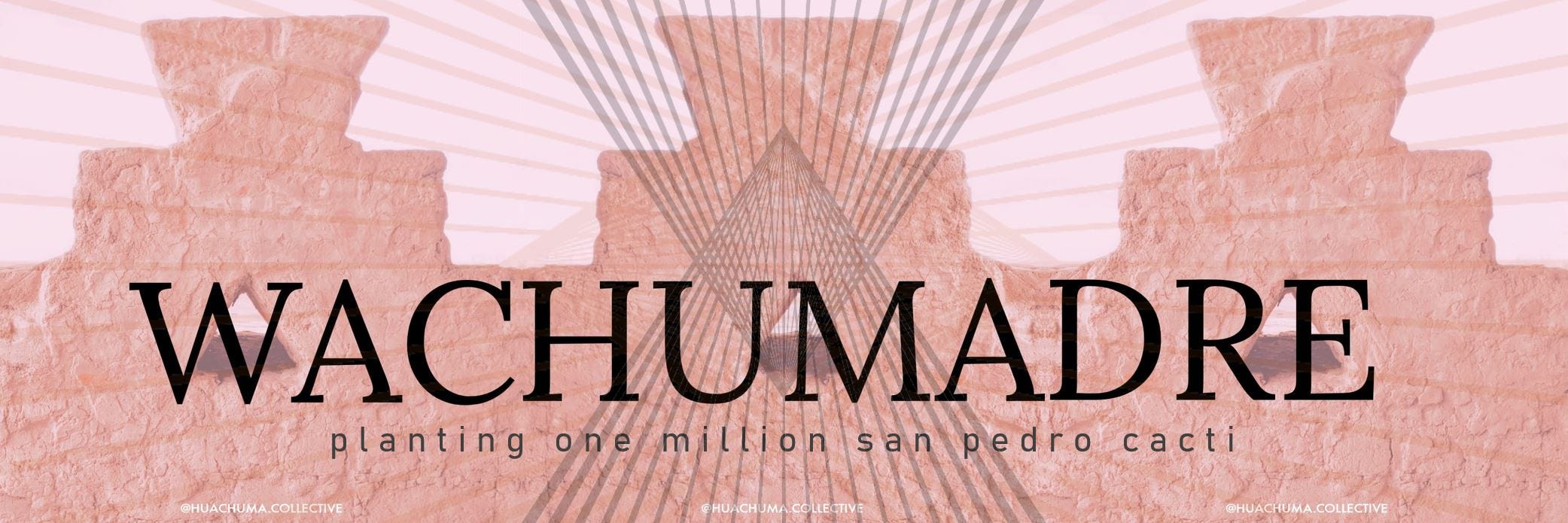 Introducing WachuMadre - by Huachuma Collective - AGUA·COYA