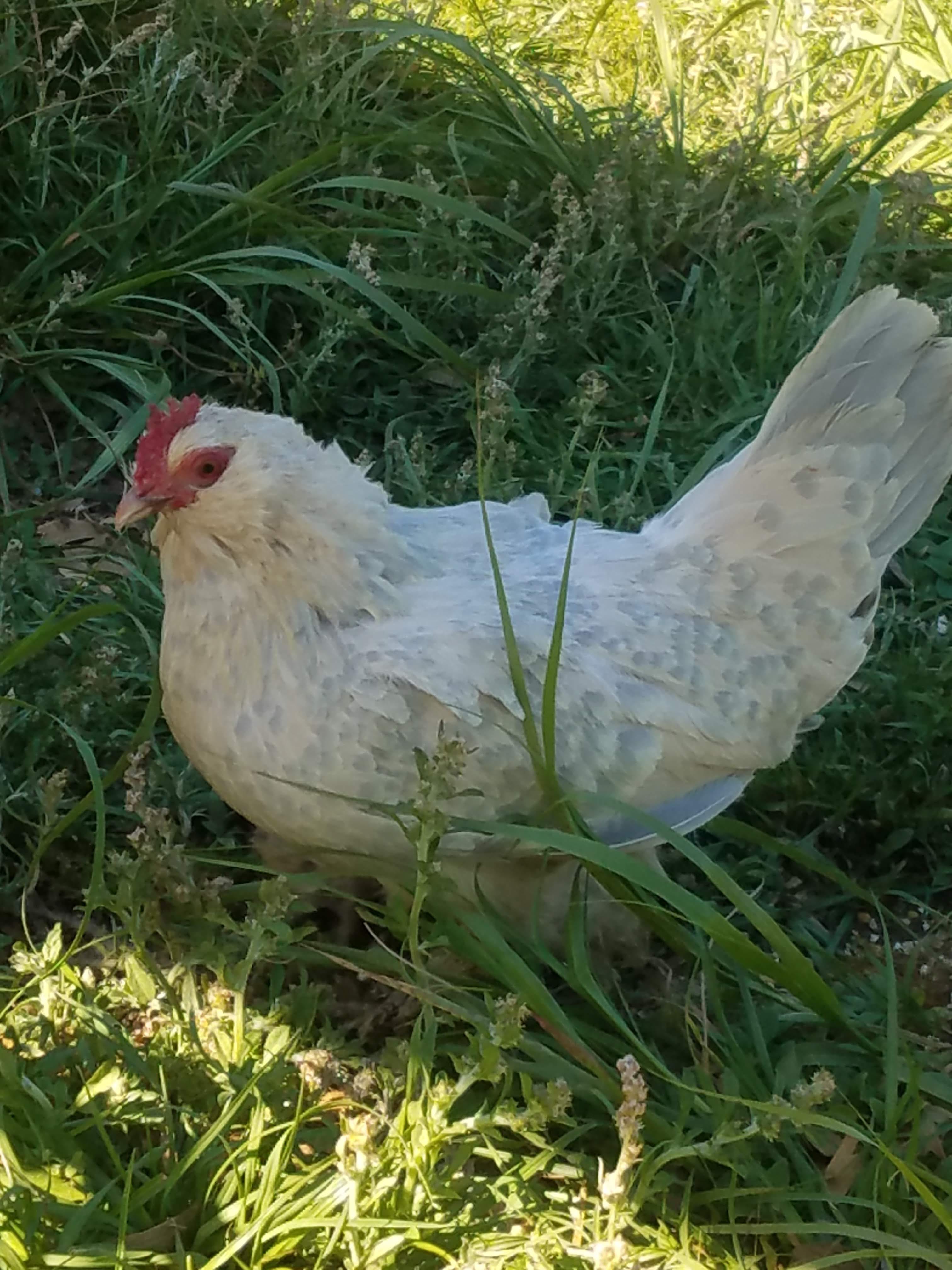 Dispatch Newsletter | Katie | Substack