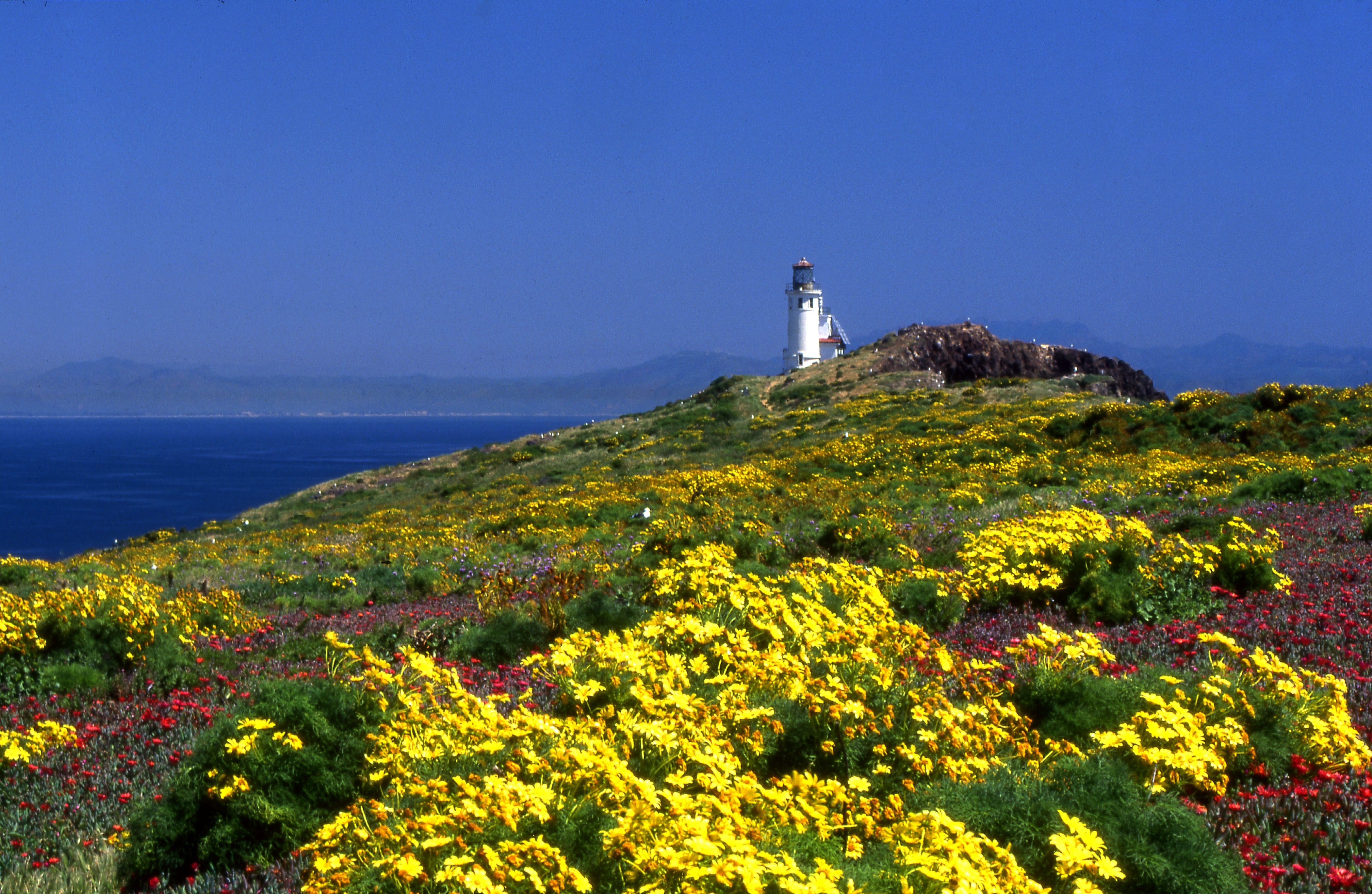 Anacapa Island - by Lydia Kremer - Window on the World