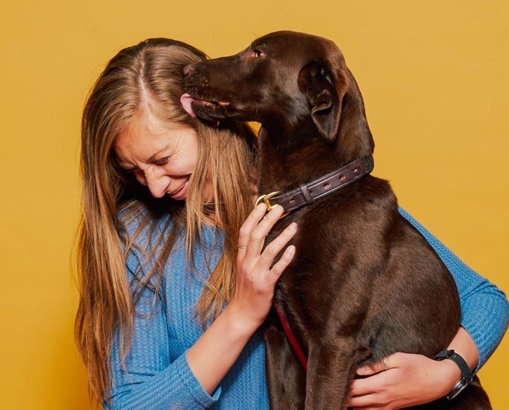 Abigail Wise | Substack