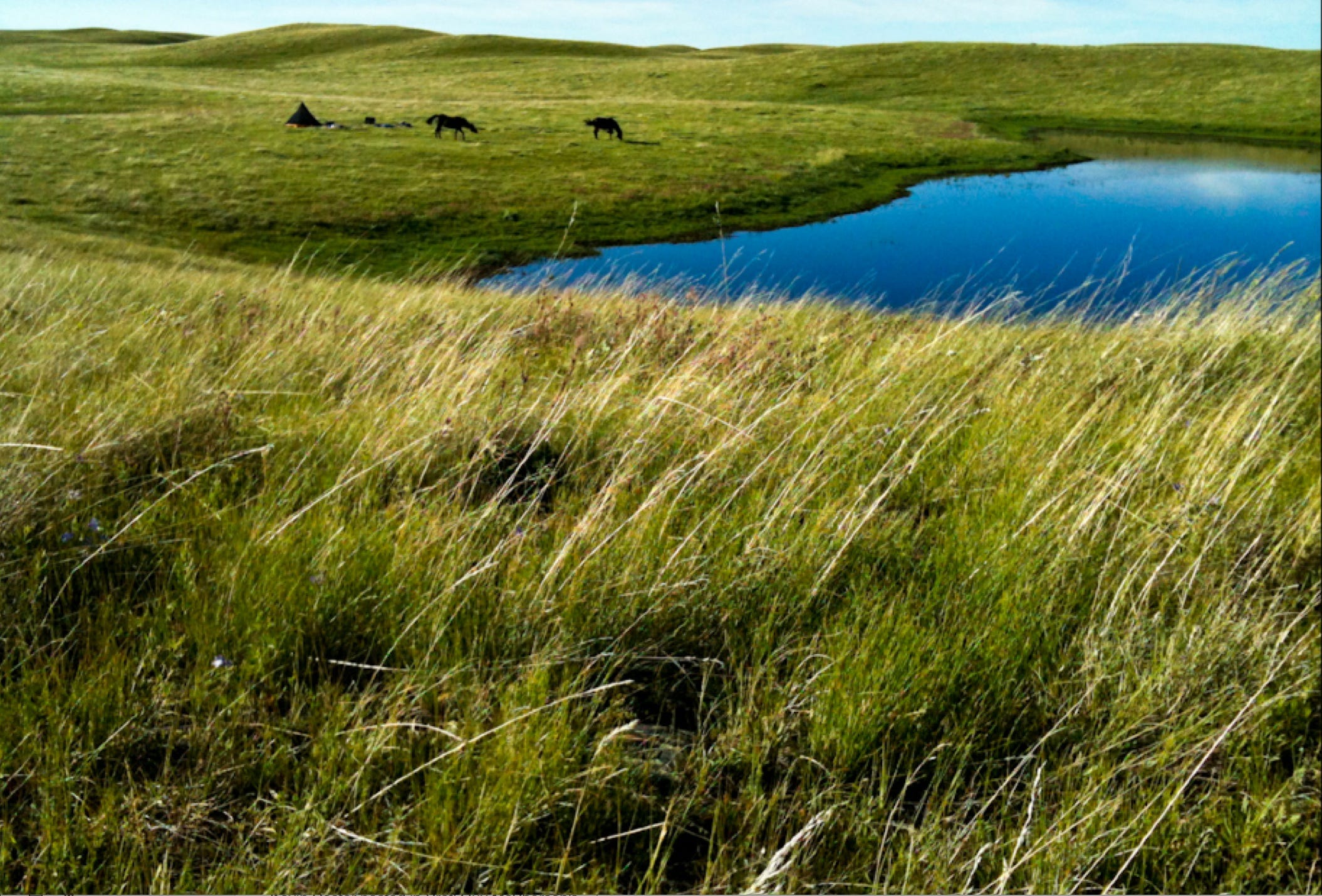 The beginning of the book of Aoife | cat wanders through mountains | Substack